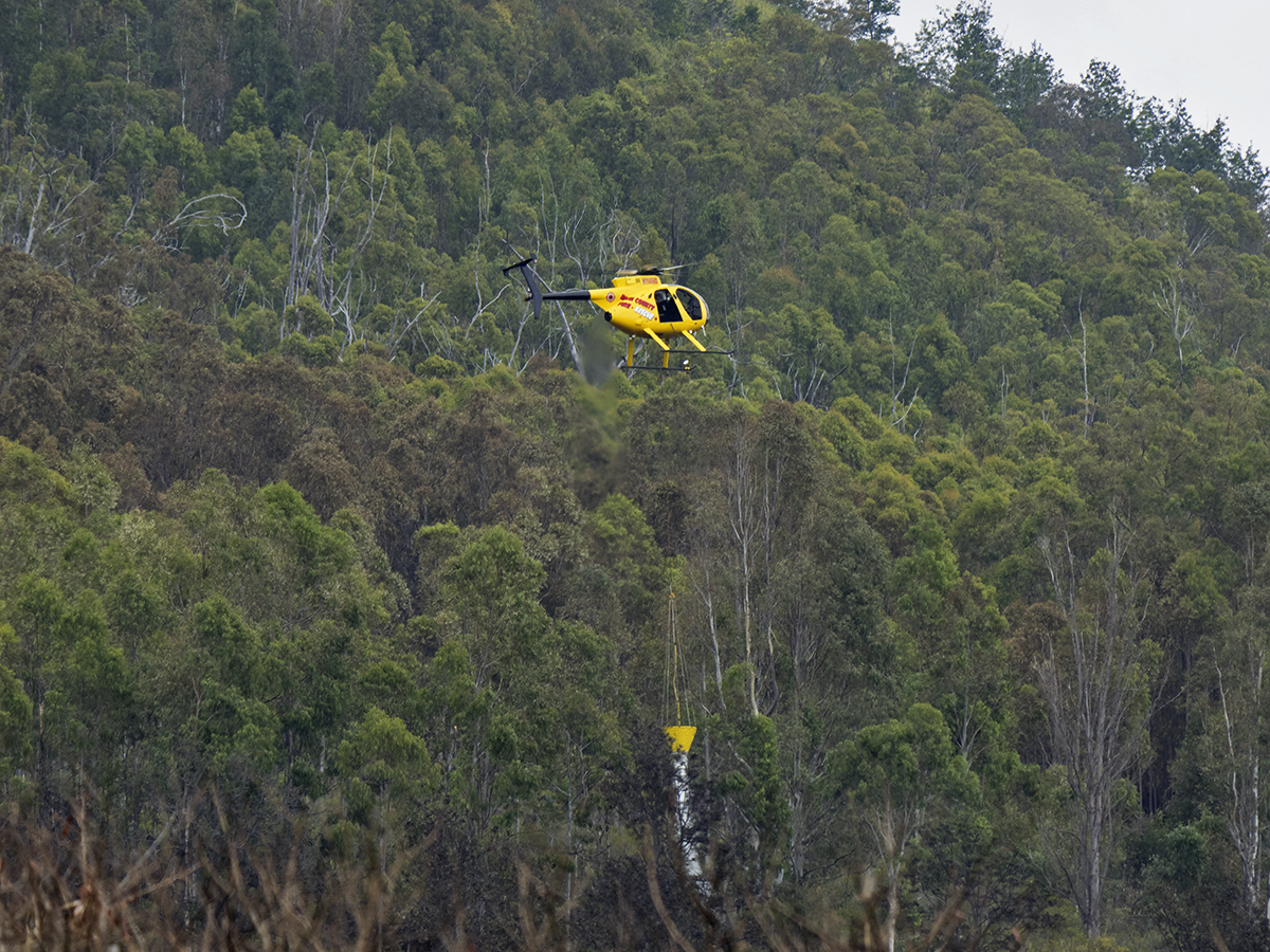 Hurricane Lane Fire Damage - Lahainaluna